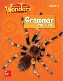 READING WONDERS GRAMMAR PRAC
