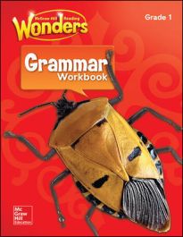 READING WONDERS GRAMMAR PRACTI